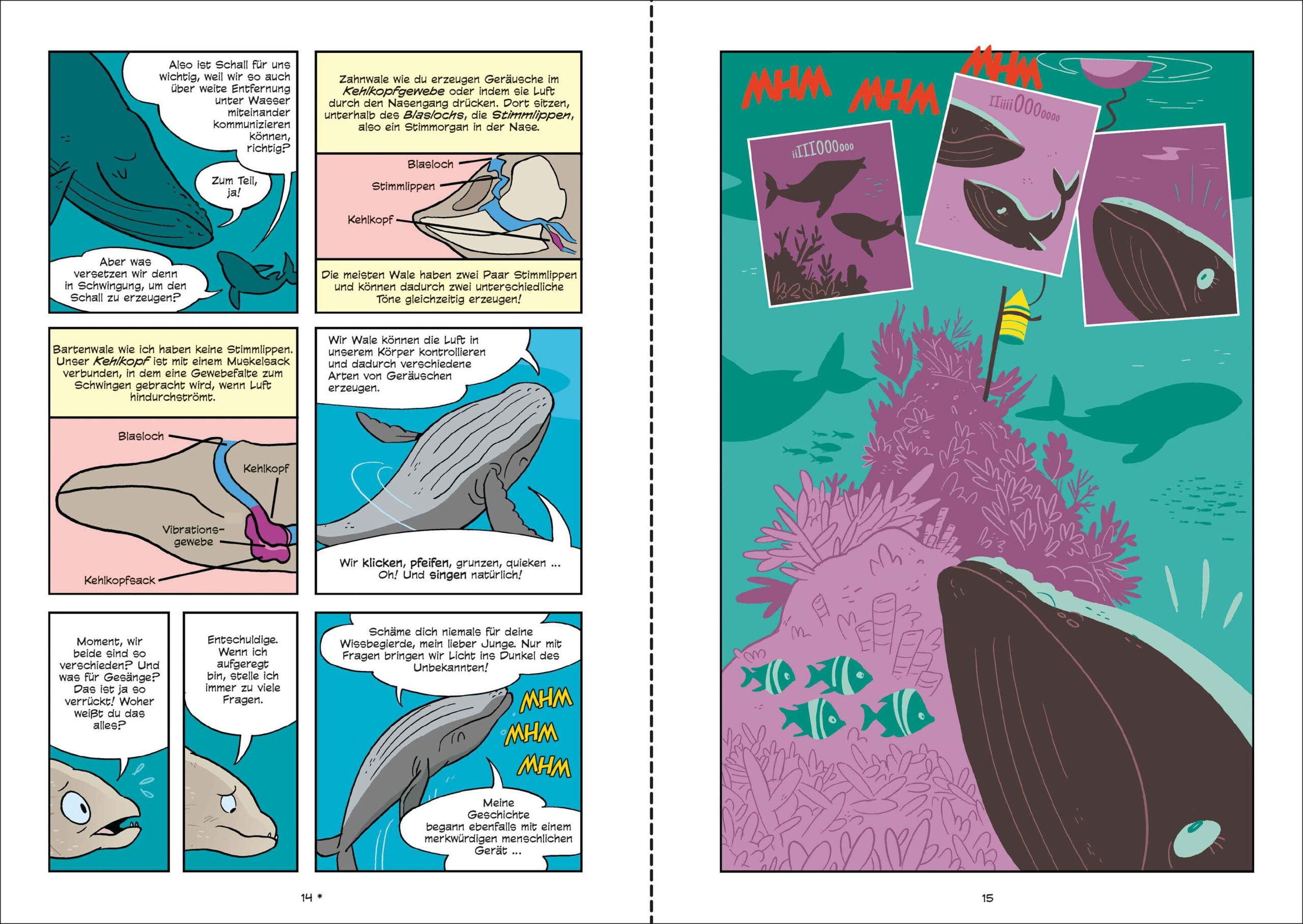 Casey Zakroff & Pat Lewis: Superbrain Comics – Die Geheimnisse der Wale ...