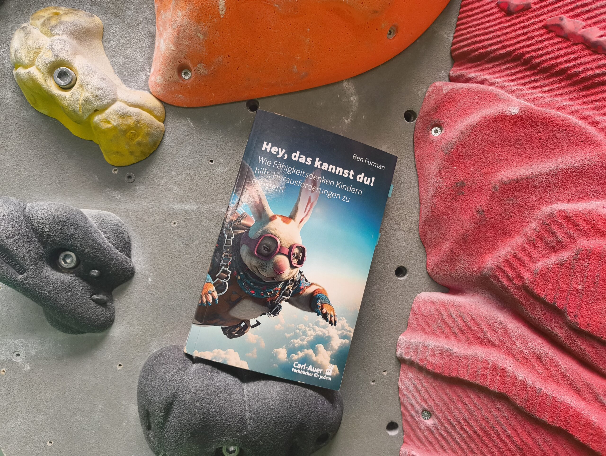 Ben Furman: Hey, das kannst du! Wie Fähigkeitsdenken Kindern hilft ...